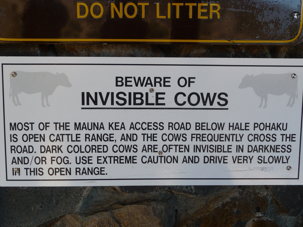 Holidays, Anxiety and Invisible Cows – Writing Out My Storms